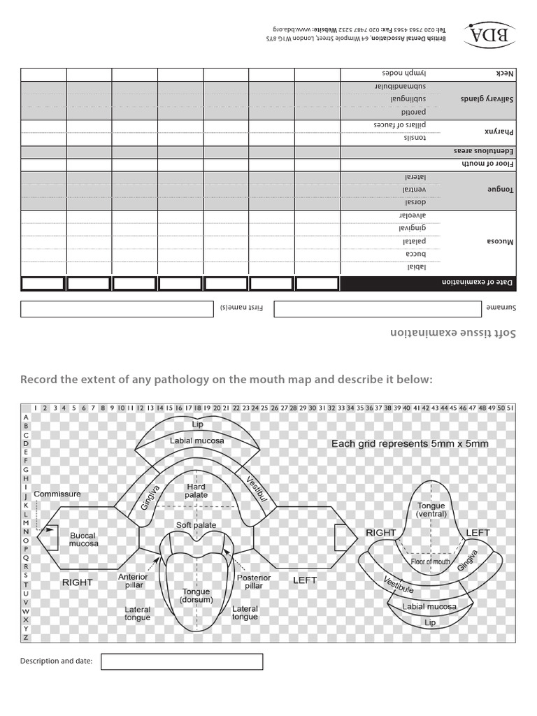 Mouth Map | PDF