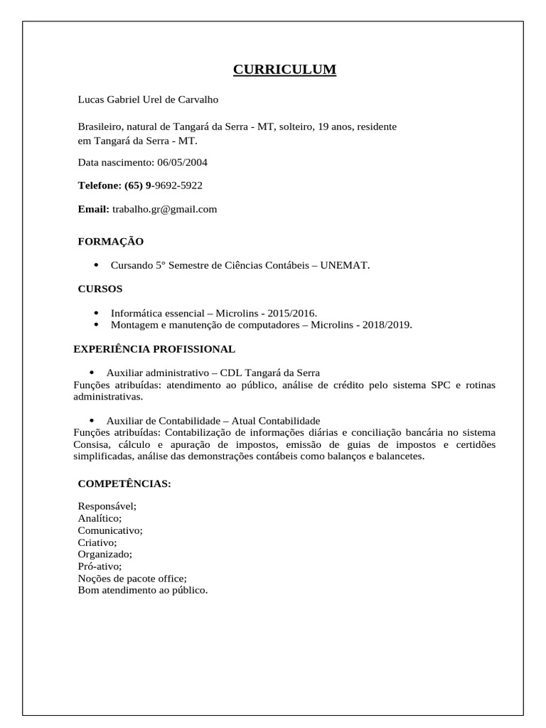 CURRICULUM VITAE - Lucas | PDF