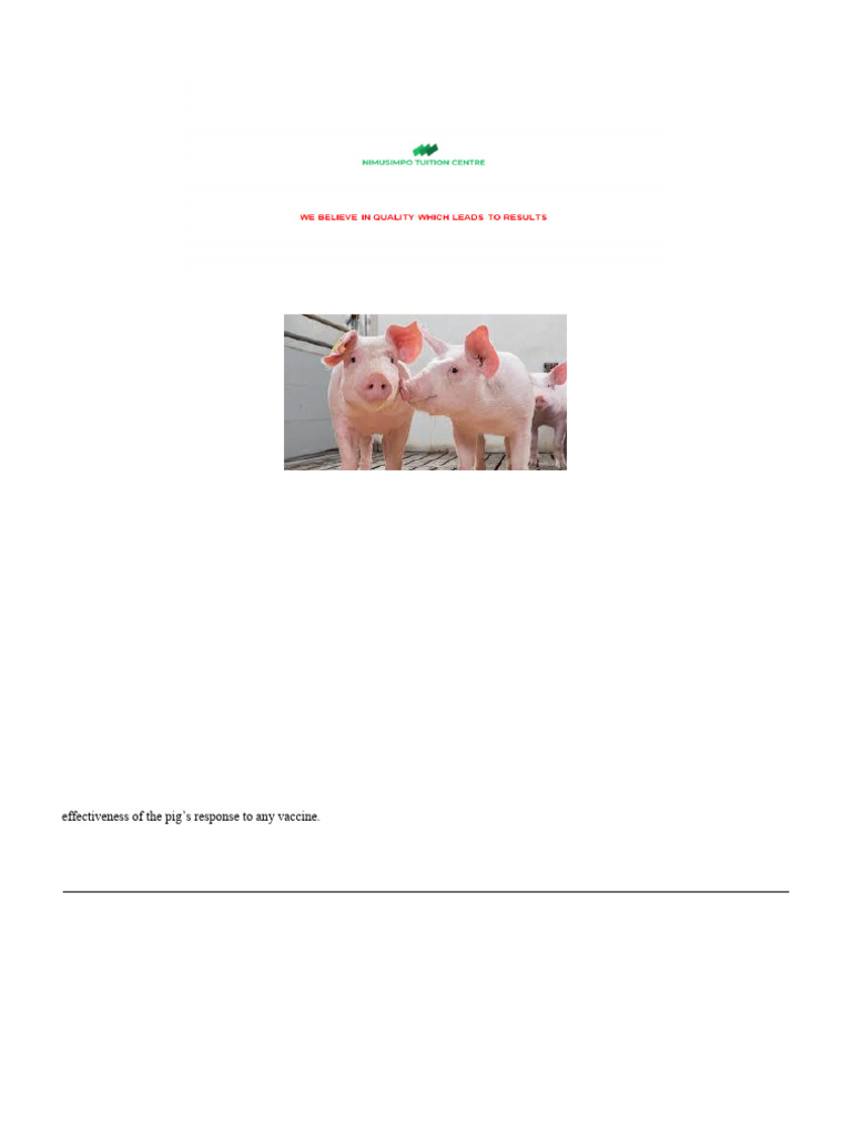 Pig Vaccination Schedule Manual | PDF | Pig | Immunology