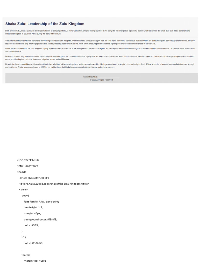 Shaka Zulu Project | PDF