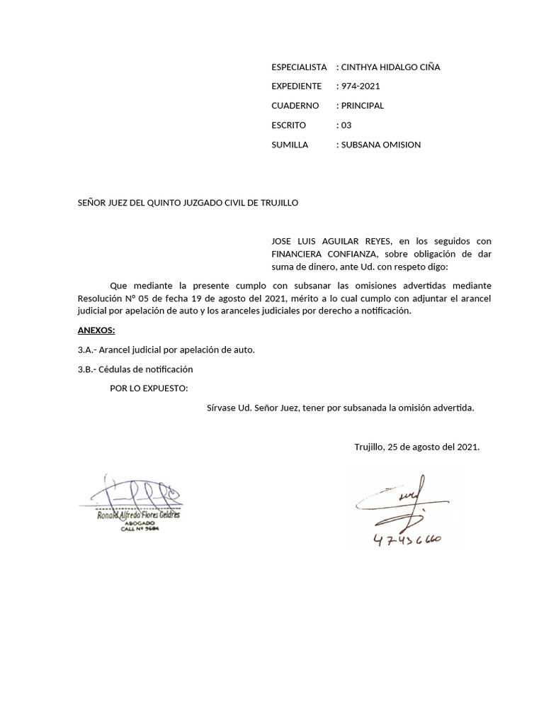 Subsana Omision | PDF