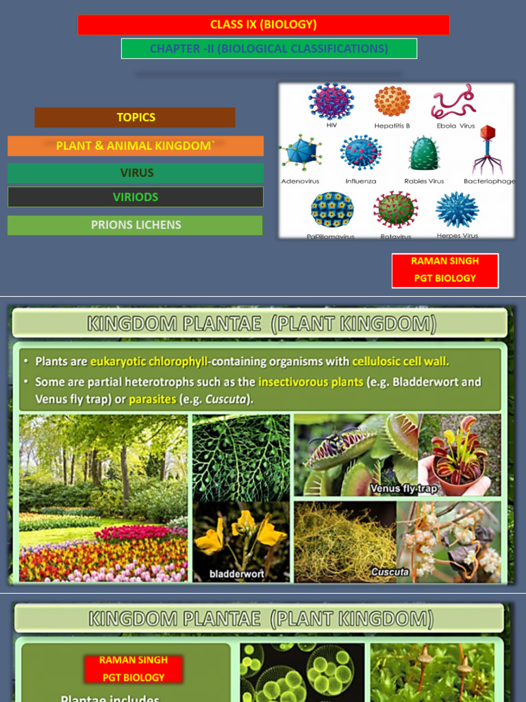 Biological Classification Lec-Iv-1 | PDF