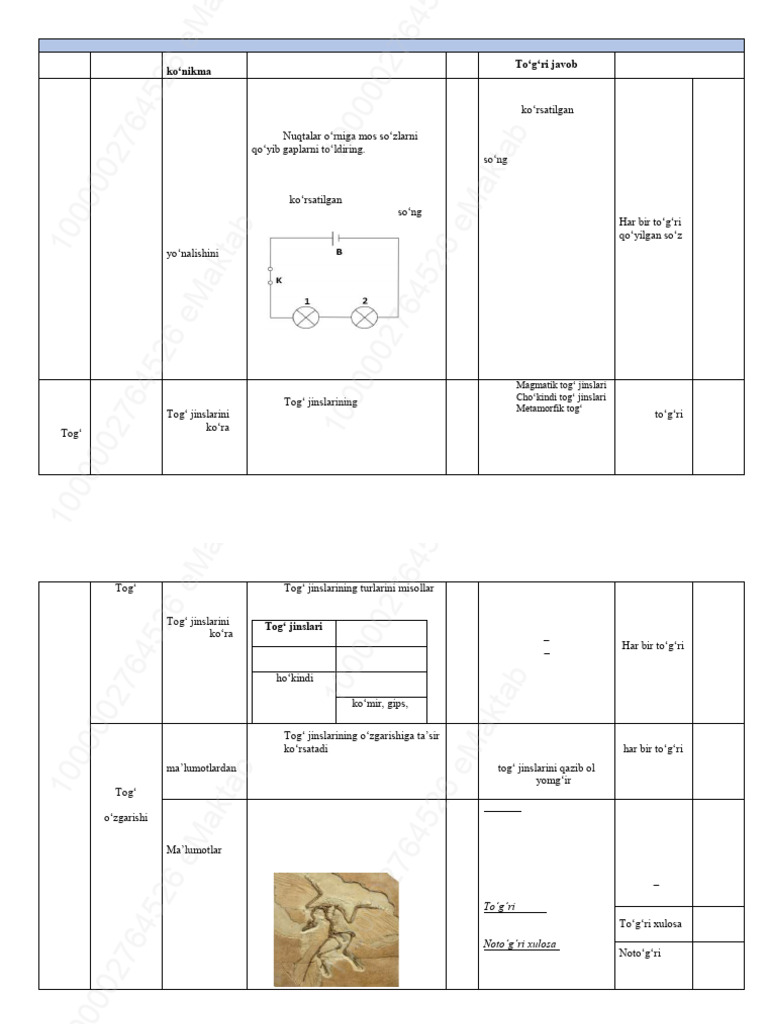 TF 6-Sinf 7-Bsb Demo | PDF