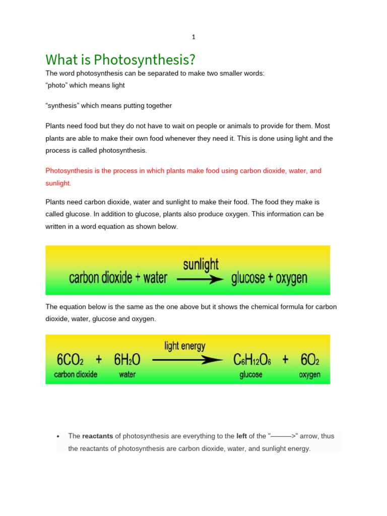 Photosynthesis 2nd form 2 | PDF | Photosynthesis | Leaf