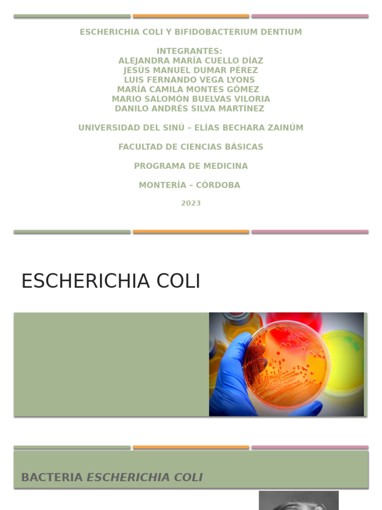 Escherichia Coli y Bifidobacterium Dentium | PDF | Escherichia coli | Diarrea