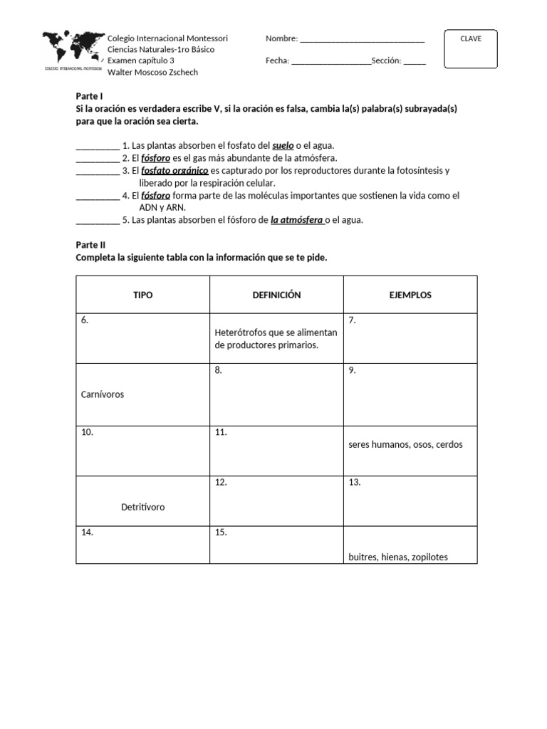 Examen de Ciencias Naturales 1ro Básico | PDF | Plantas | Biología