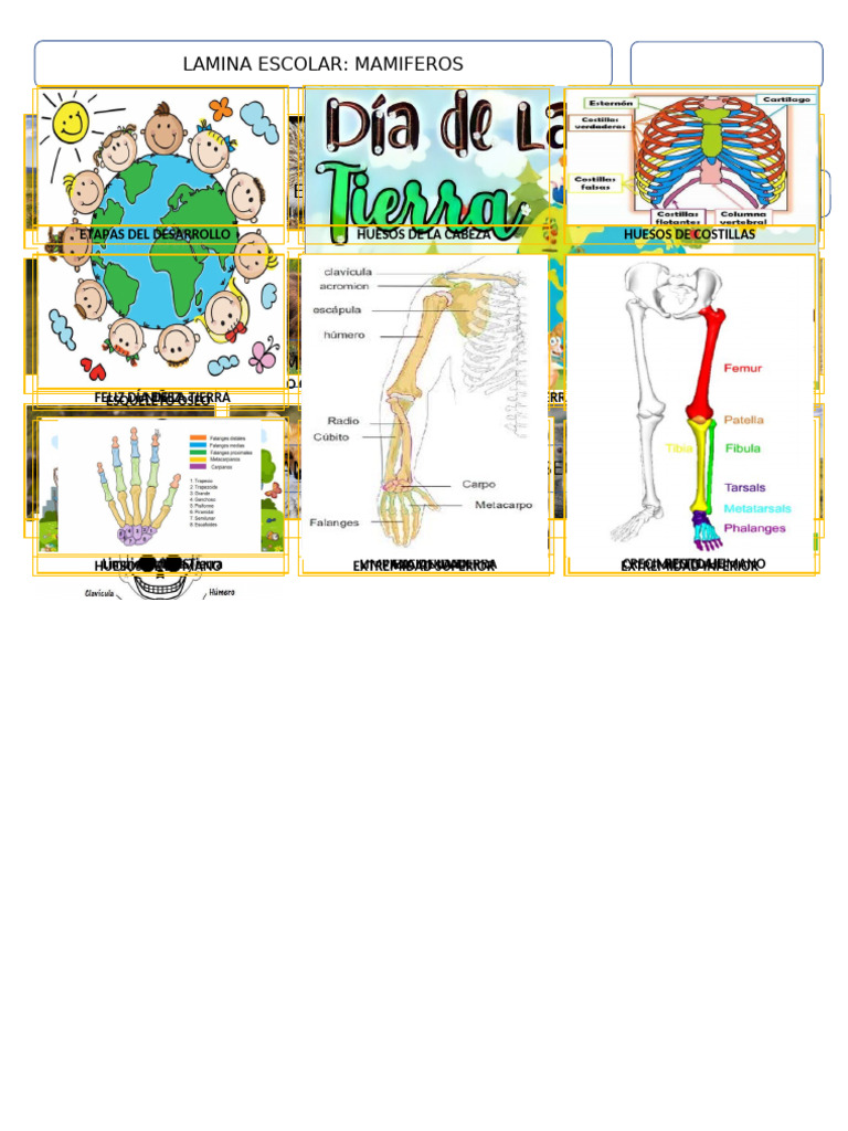 Formato para Imprimir Laminas | PDF