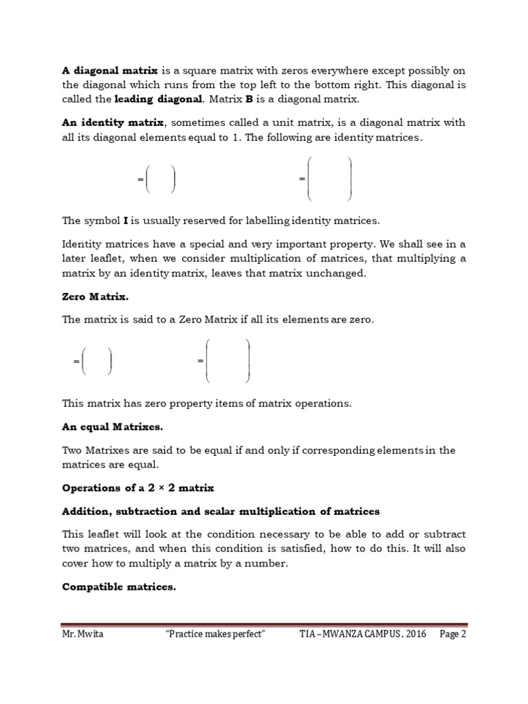 Understanding 2x2 Identity Matrices | PDF
