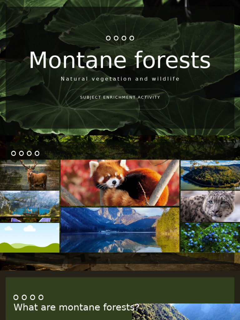 Montane Forests.pptx | PDF