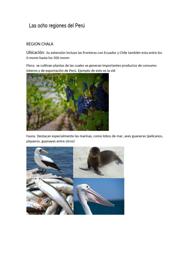 Region Chala | PDF