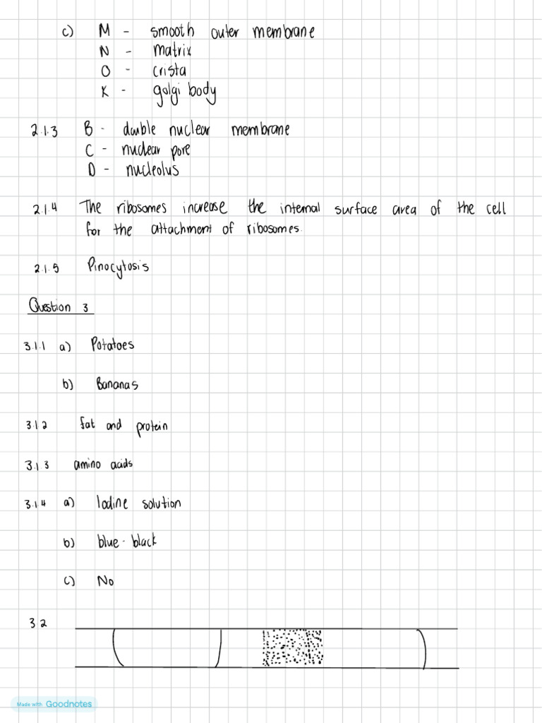 LIFE SCIENCE PAPER 1 (NOV 2023) 2 | PDF
