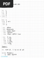 Lady Capulet Character Analysis | PDF | Characters In Romeo And Juliet ...
