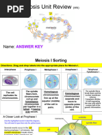 Video Recap of Meiosis by Amoeba Sisters Updated Pictures | PDF | Meiosis | Chromosome