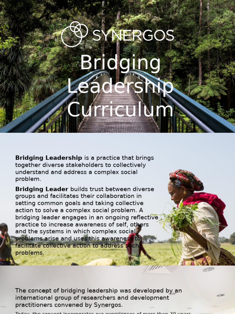 Bridging Leadership Curriculum | PDF | Leadership | Collaboration