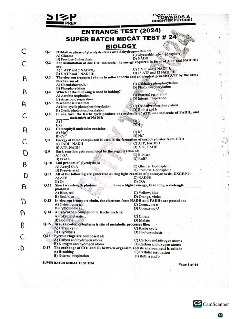 Step 2024 SB Test 24 + Key | PDF