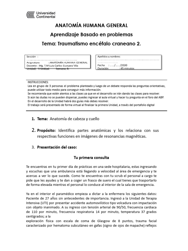 ABP 2 Terminado | PDF | Vértebra | Ojo humano