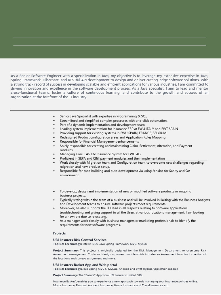 Usman Resume 2024 Version of CV | PDF | Spring Framework | Model–View–Controller