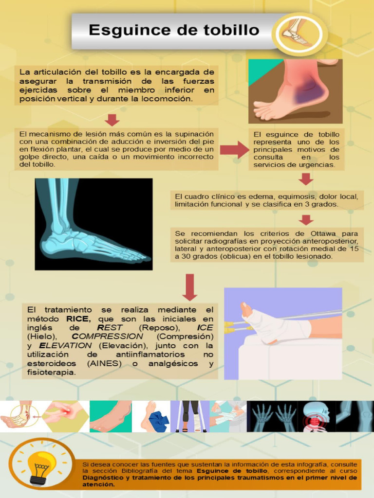 Recapitulacion | PDF