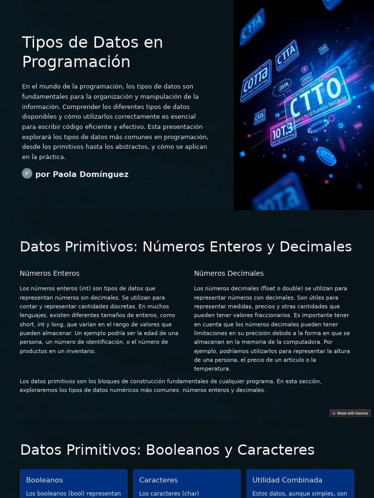 Tipos-de-Datos-en-Programacion | PDF | Objeto (informática) | Tipo de datos
