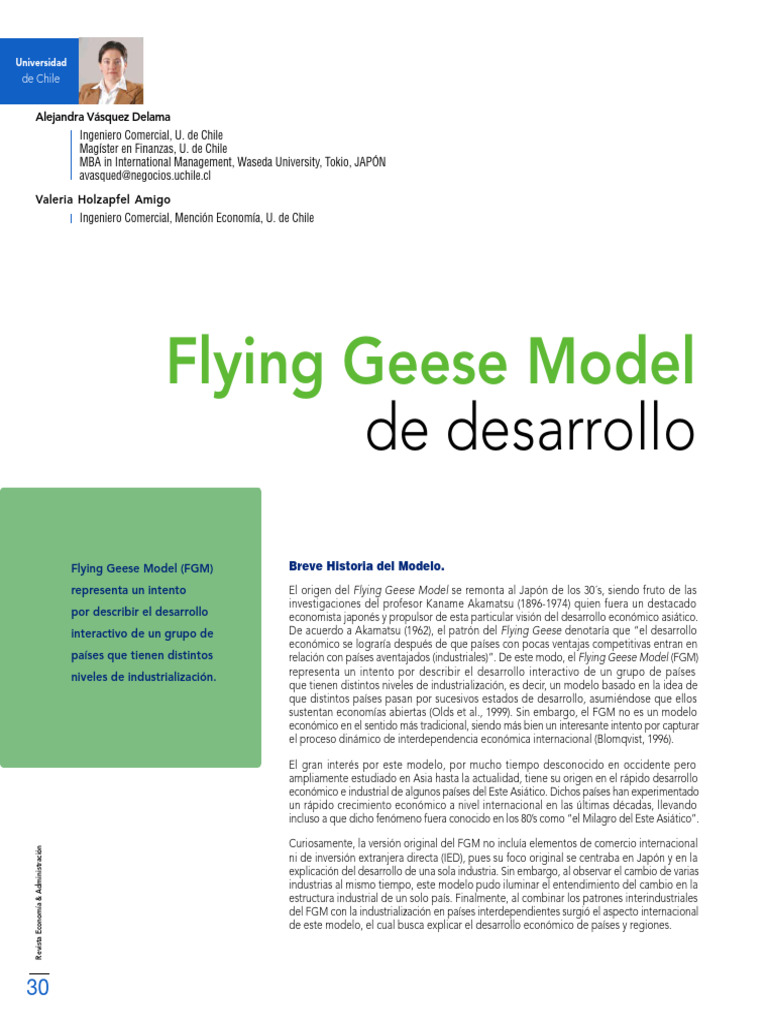 150 Flying - Geese - Model Vasquez | PDF | La inversión extranjera ...
