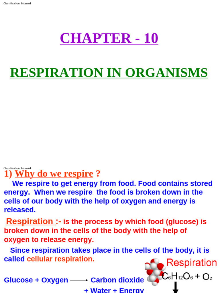Understanding Respiration in Organisms | PDF | Breathing | Cellular ...