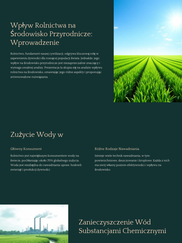 Projekt Bez Nazwy | PDF