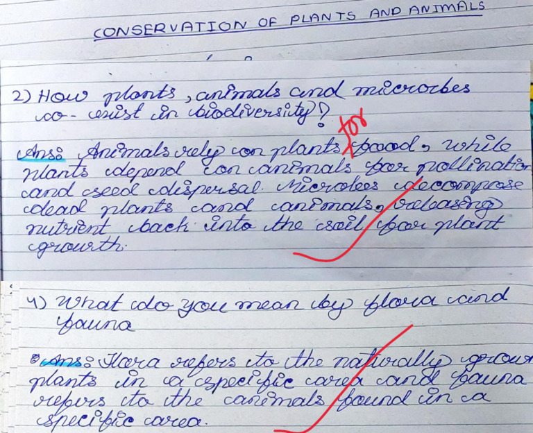 Conservation of Plants and Animals HW | PDF