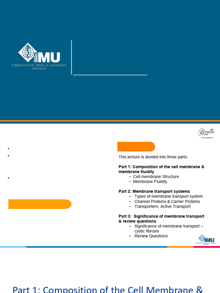 Cell Membrane Transport | PDF | Cell Membrane | Phospholipid