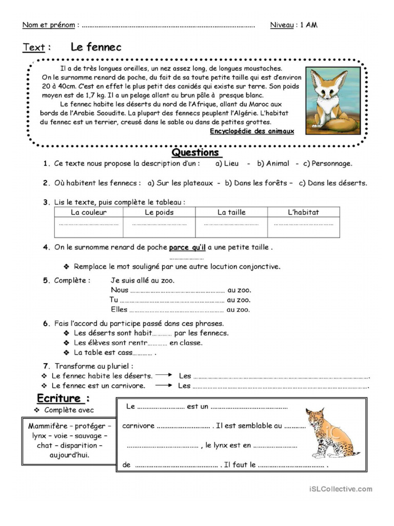 Le Fennec Comprehension Ecrite Texte Questions Controle Deva - 87559 ...