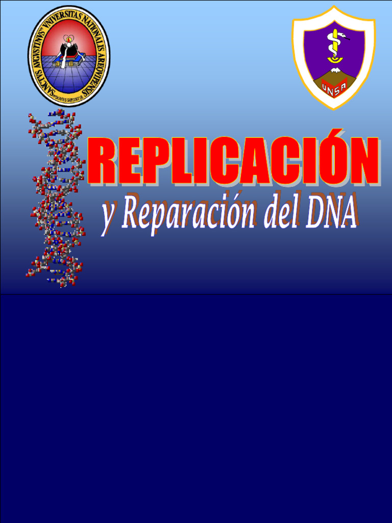 1replicación y Reparación Del Dna | PDF | Replicación De Adn | Telómero