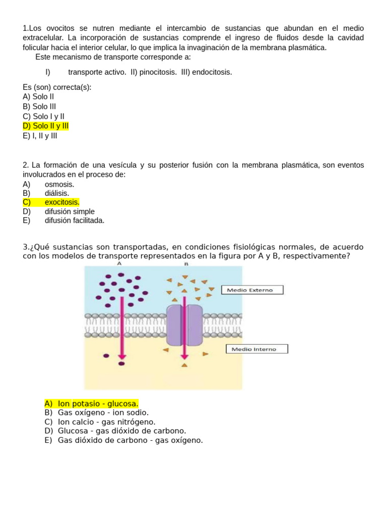 5 Preguntas PAES (Transp Act y Pas) | PDF