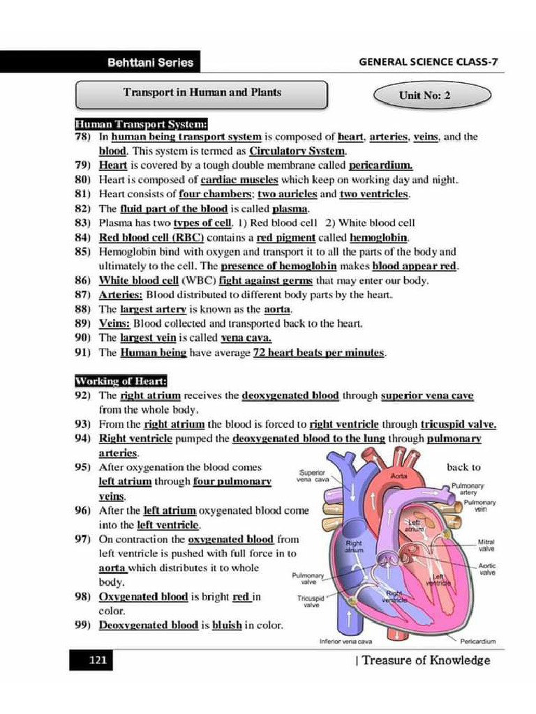 General Science PDF | PDF