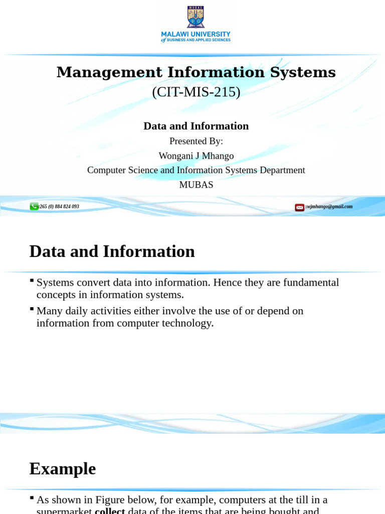 Lesson 2 - Data and Information | PDF | Data | Information