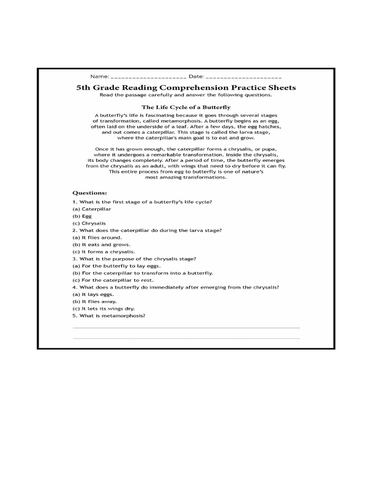 5th Grade Reading Comprehension Practice Sheets - 85367 - 55122 ...