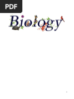 Math IA Format and Structure | PDF | Mathematics | Cognition