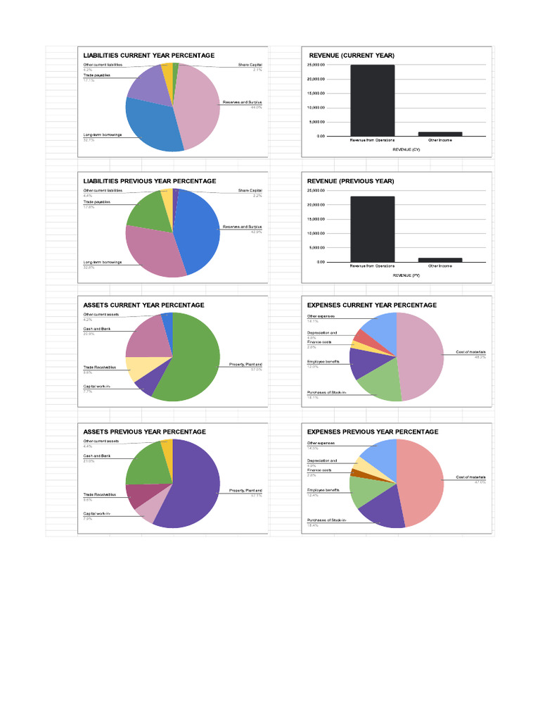 Common Size Project-Zoha Ahmed (Final) - Sheet3 | PDF