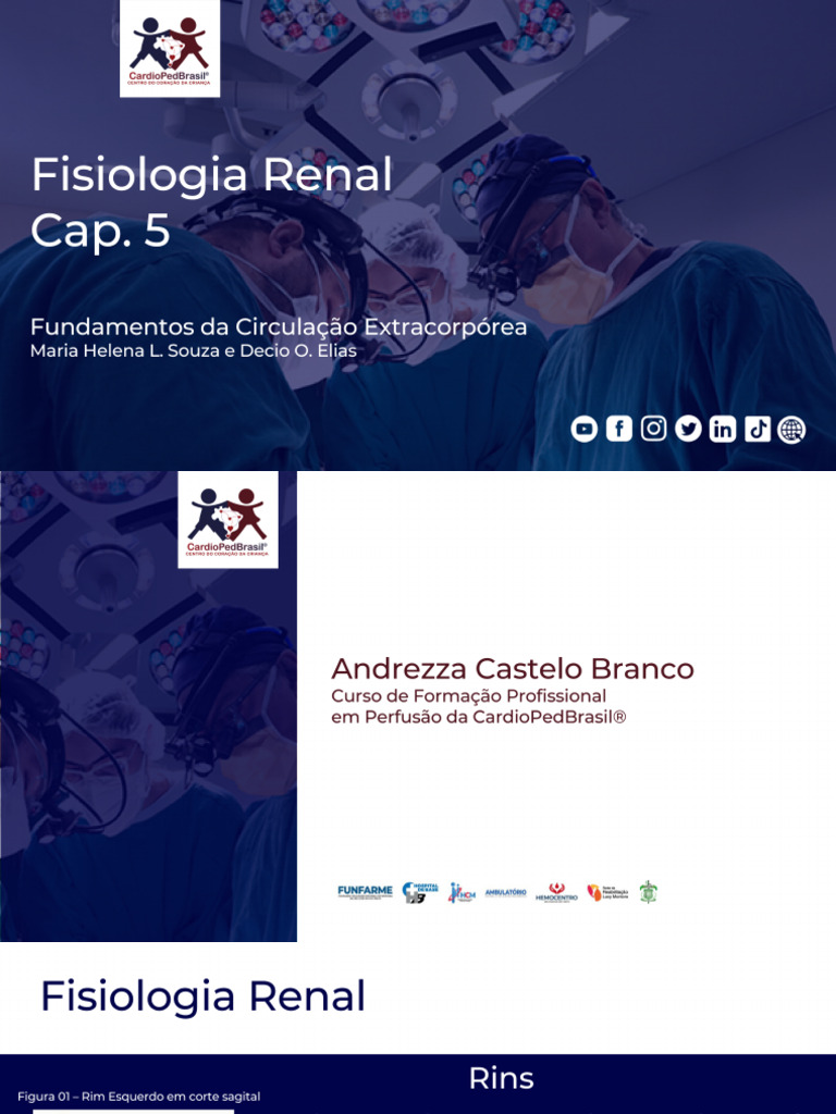 Fisiologia Renal Cap. 5 Fundamentos Da Circulação Extracorpórea Maria ...