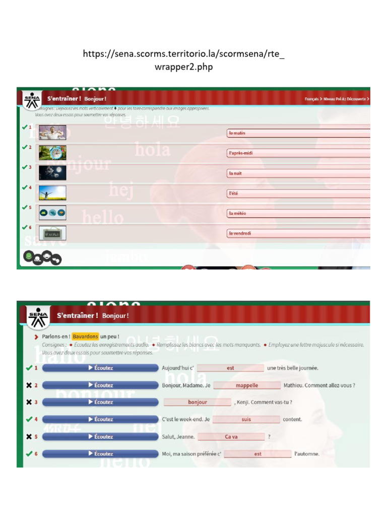 Actividad Bonjour - David Macias | PDF