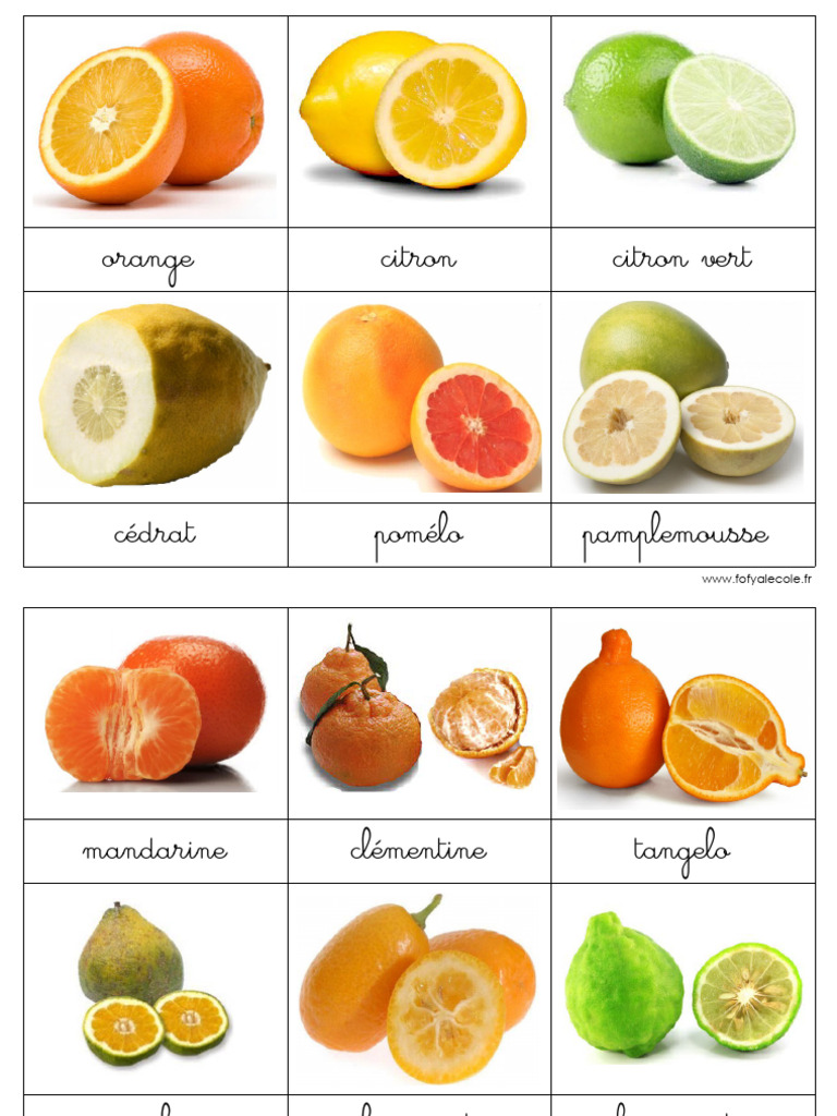 Nomenclature Des Agrumes | PDF