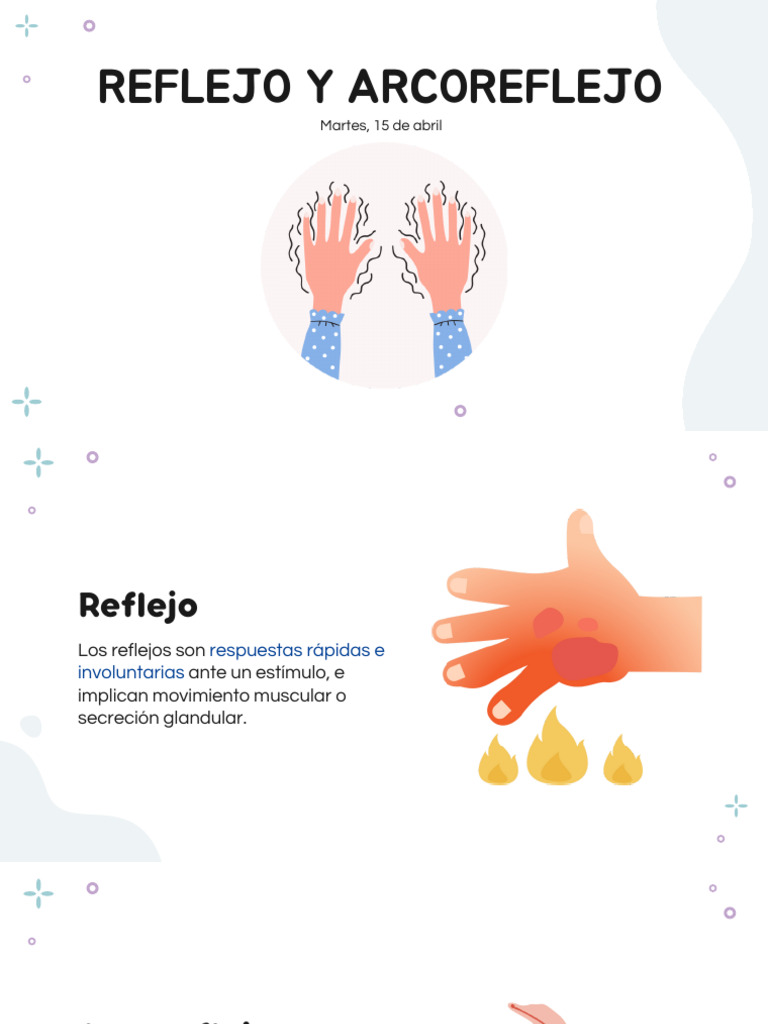 Diferencias entre reflejo y arco reflejo | PDF