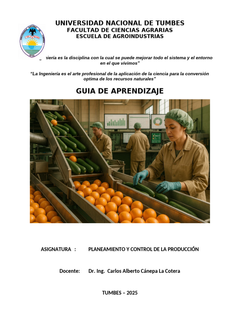 Guia de Aprendizaje | PDF | Planificación | Maestros
