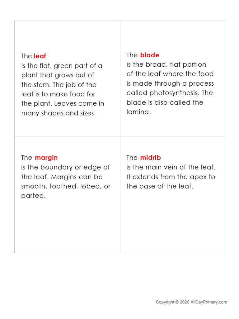 Parts of A Leaf Definition Stage of Reading Classification | PDF | Leaf ...