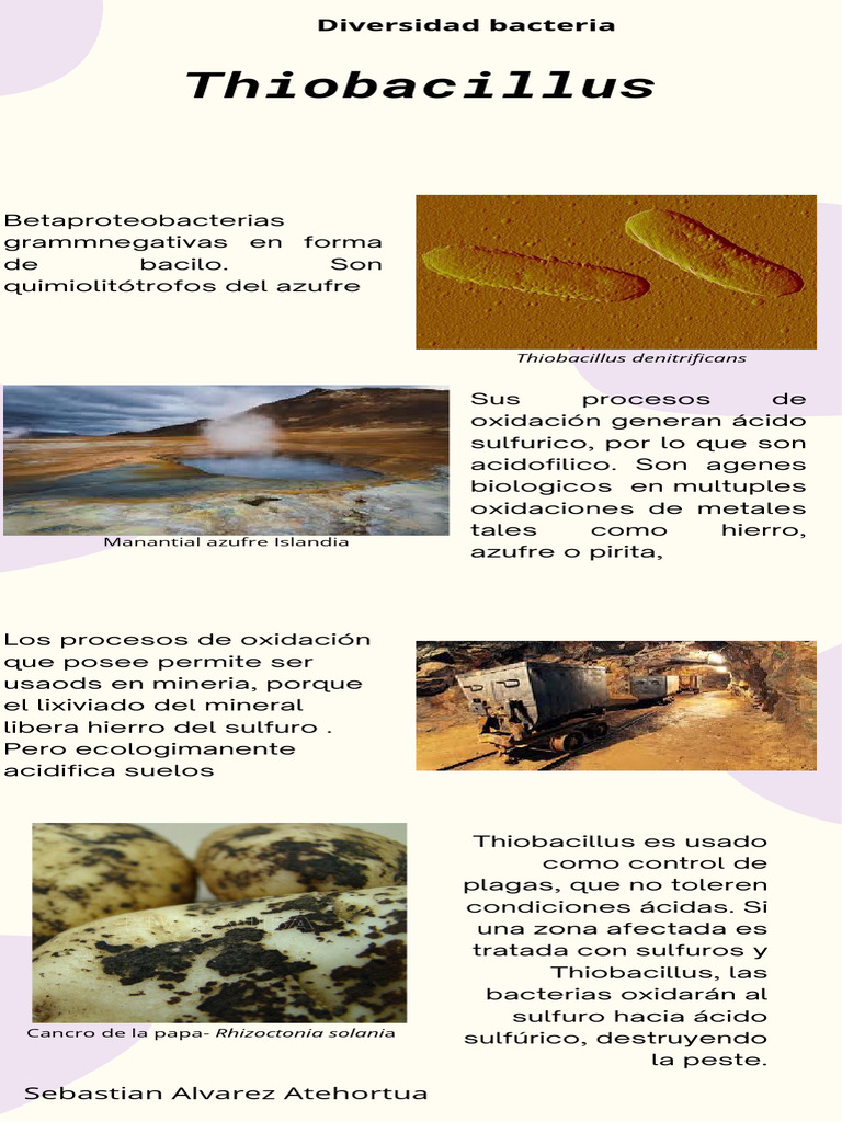 Thiobacillus y Thermoplasma | PDF | Química