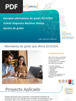 Opciones de Grado | PDF | Institución