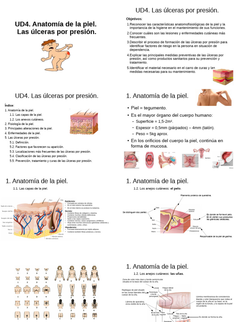 UD4. Las Úlceras Por Presión - DIAPOS IMPRIMIR | PDF | Piel | Clavo (anatomía)