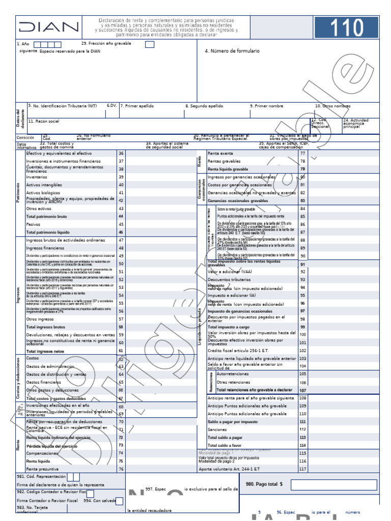 Instrucciones Formulario 110 Renta 2024 | PDF | Impuestos | Contabilidad