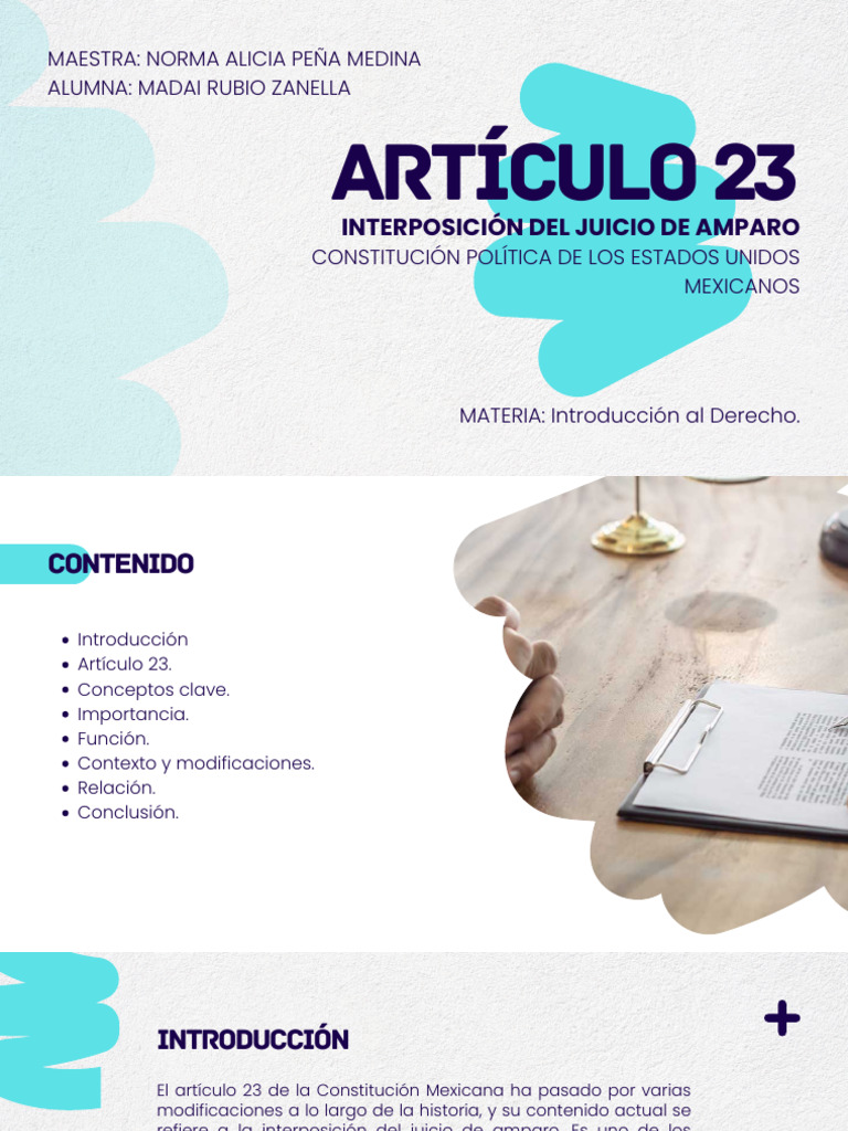 Artículo 23 (Exposición de Derecho) | PDF | Apelación | Justicia