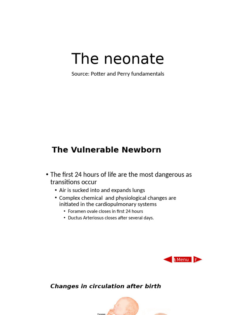 The Neonate Addtitional Slides | PDF