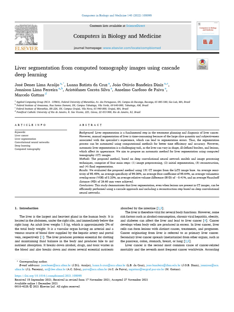 Automated Liver Segmentation via Deep Learning | PDF | Image Segmentation | Ct Scan