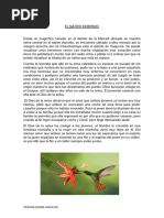 La Leyenda del Jarjacha Andino | PDF